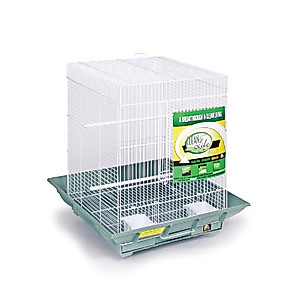 Prevue Hendryx SP850G/W Clean Life Cockatiel Cage, Green and White