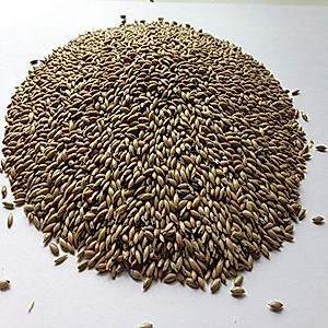 Sweet Harvest Canary Seed Alpiste Bird Food