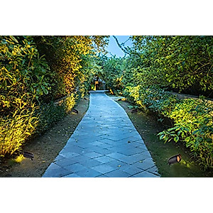 Nuvo SF76/646 One-Light Halogen Landscape Floodlight, Dark Bronze, 6.25-Inches