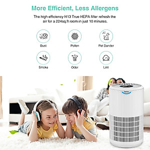 Air Purifiers for Home Large Room 1345 Ft², Tailulu H13 True HEPA Air Cleaner with Replacement Filter Purify Smoke Dust Pollen for Bedroom Living Room, Only for D09 Air Purfiier