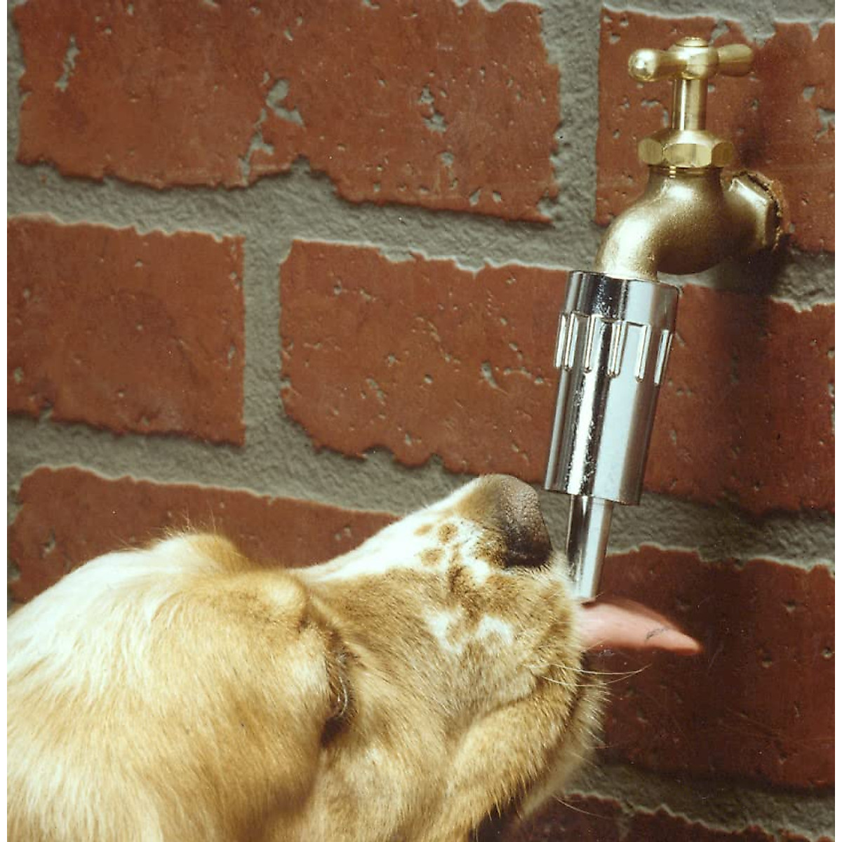 Lixit Pet Dog Waterer Faucet Outdoor Water Fountain Thirst Quencher MADE in USA