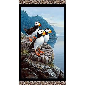 Puffins digitaly Printed Panel by Darrel Bush from Elizabeth's Studio Cotton Quilt Fabric 8913 Black