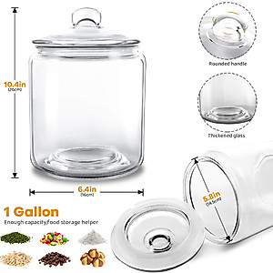 MASTERTOP Glass Jars with Lids,1 Gallon Airtight Big Glass Cookie Jar, Leak Proof Rubber Gasket Lid, Multifunctional Storage Container for Dry Food, Cookies, Snacks