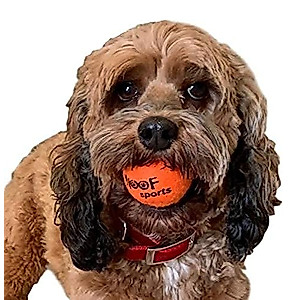 Woof Sports small TENNIS BALLS for Dogs (1.9") - 12 Orange Durable and Easy to Find Mini Tennis Balls for Small Dogs and Puppies. includes Carrying Bag.