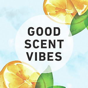 Herbal Essences Body envy conditioner boosted volume for hair, 29.2 fl oz, 29.2 Fl Oz