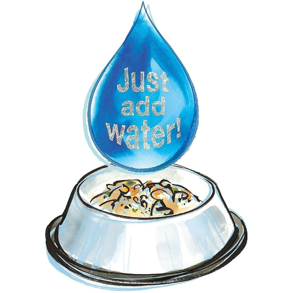 Aurora Pet Bundle Set (3) The Honest Kitchen Daily Boosters Instant Turkey Bone Broth with Turmeric Plus AuroraPet Wipes