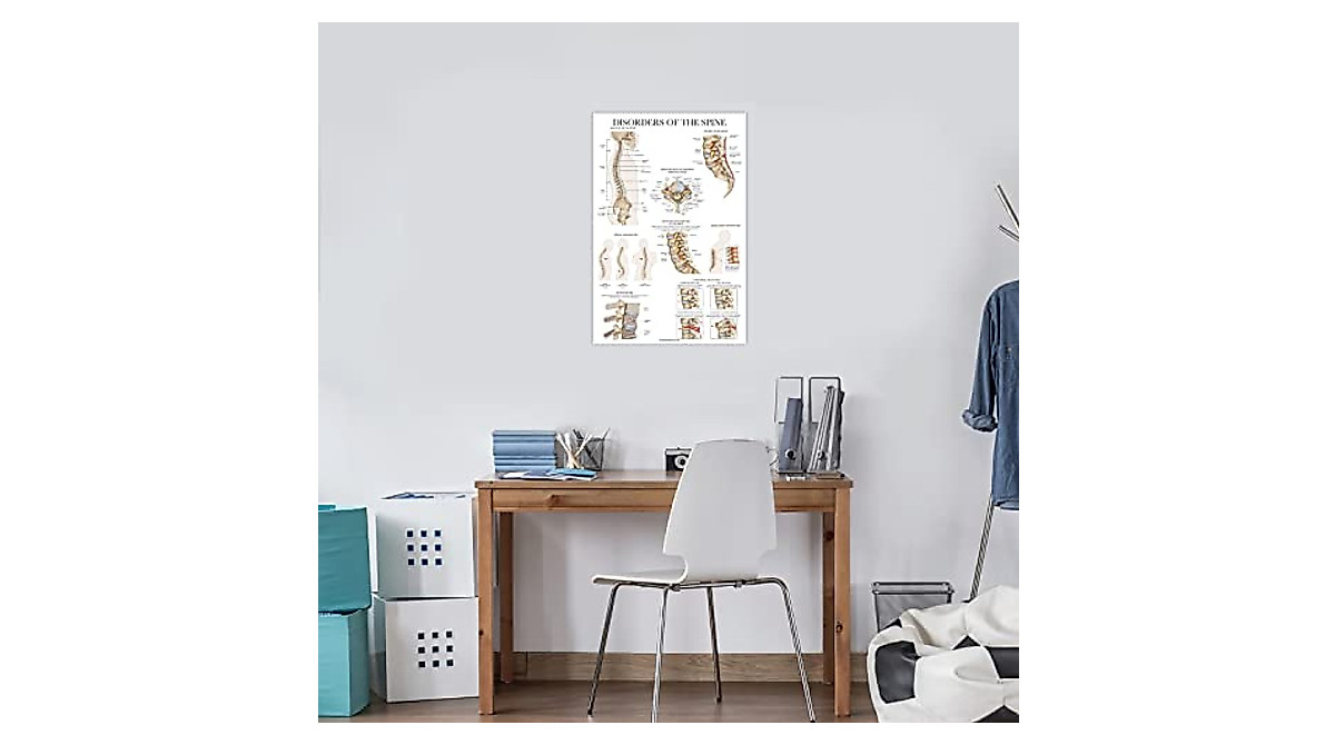 Anatomical Charts: Spinal & Cranial Nerves + Spine Disorders Set