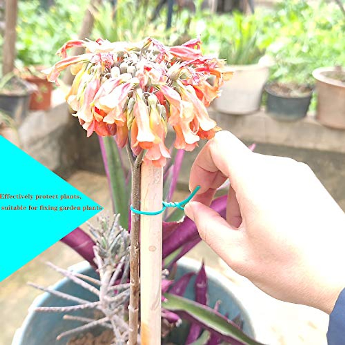 Green Garden Plant Ties,500pcs 6” Twist Ties for Bags, Vines and Cords,Garden ties for Tomato Cage,Plant Supports for Effective Growing