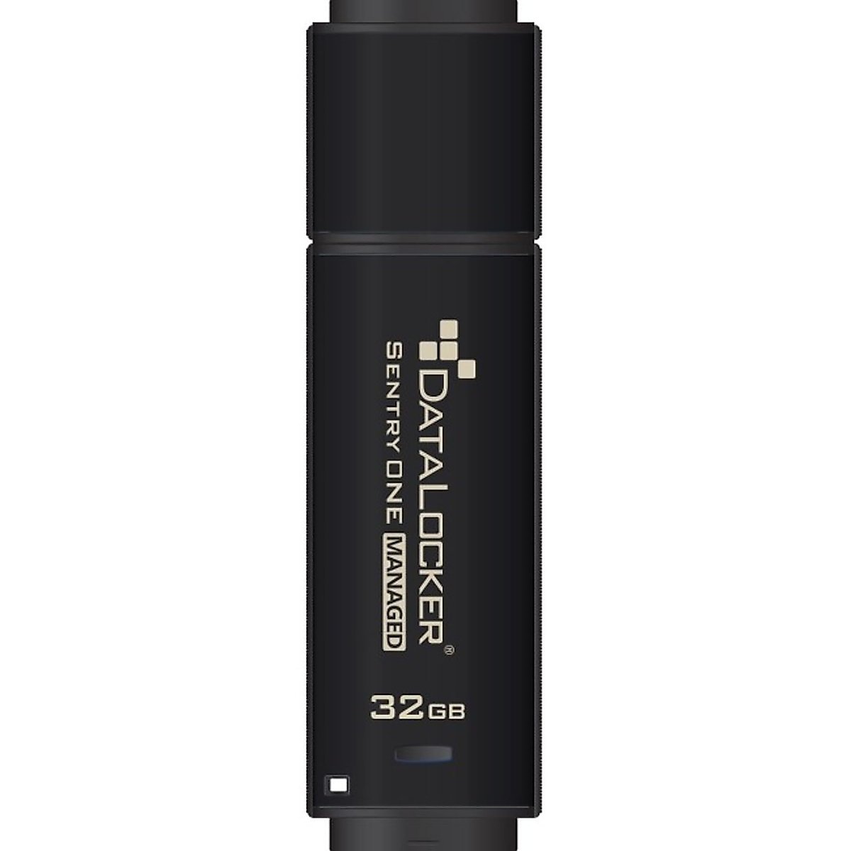 DataLocker Data Locker Sentry ONE Encrypted Flash Drive - 32 GB - USB 3.1-256-bit AES - TAA Compliant
