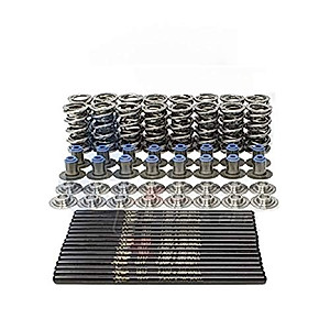 Texas Speed TSP Cleetus McFarland Bald Eagle LS1 LS2 LS6 Camshaft and Spring Set for N/A Naturally Aspirated Applications (Camshaft and Spring Set)