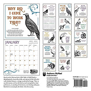 Effin' Birds 2021 Wall Calendar: A Field Guide to Identification