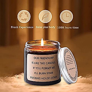 PMCDS2G Scented Candles Best Gift for Men & Women Birthday 14oz 100hour Long Burn Time Lavender Fragrance (Our Friendship is Like This Candle. IF You Forget ME I'll Burn Your FXXKING House Down.)