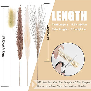 Pampas Grass 80 pcs 17.5 inch Natural Dried Pampas Grass - 15Pcs White Pampas & 15Pcs Brown Pampas & 30Pcs Reed Grass & 20Pcs Bunny Tail Grass,Fluffy Dried Flowers for Home Decor Wedding Boho Decor…