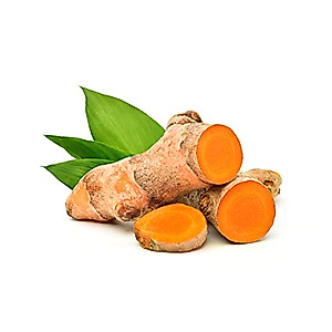 Best Earth Naturals Turmeric & Ginger Gummy Vitamins for Adults - Vegan Gummies with 95% Standardized Curcuminoids for Joint & Antioxidant Support, 30 Count