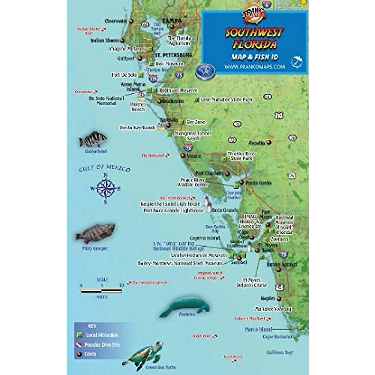 Southwest Florida Dive Map & Coral Reef Creatures Guide Franko Maps Laminated Fish Card