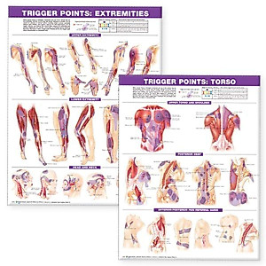 Trigger Point Chart Set: Torso & Extremities Paper