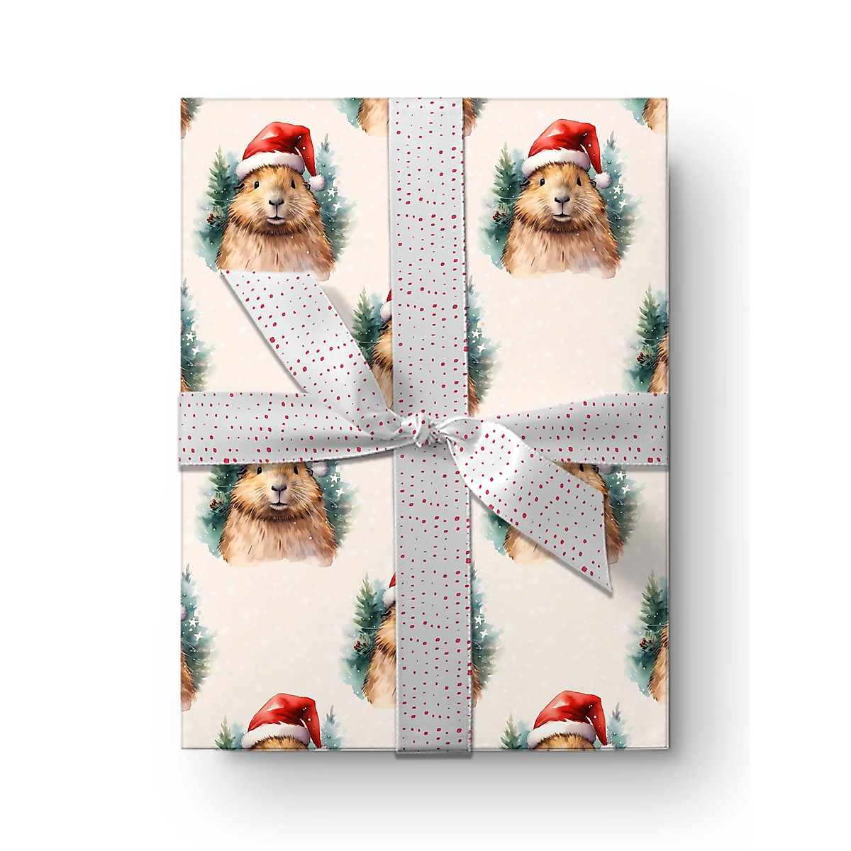 Watercolor Hamster Gerbil Guinea Pig Xmas Gift Wrap Premium Thick Wrapping Paper Capybara Animal Theme Merry Christmas Rodent Party Decor (6 foot x 30 inch roll)