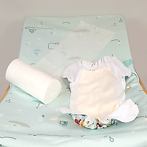 AppleCheeks Disposable, Flushable Diaper Liners, 100 Count, Unisex