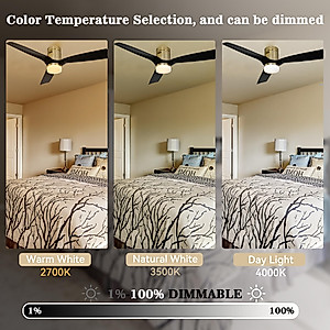 SMAAIR 52 Inch Smart Ceiling Fan with Lights and 10-speed DC Motor, Works with Remote Control/Alexa/Google Home/Siri, Dimmable LED Light (Gold/Black)