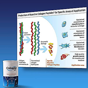 COLLAGILE® pet - Dog Hip & Joint Care | Effective Powder Supplement | Clinically Tested by Vets | 100% Natural | Tasteless and Odorless