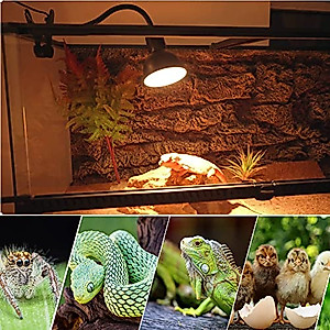 Makmzoon Reptile Heat Lamp, UVA UVB Turtle Light Bulb*2 Reptile Light Fixture with 360° Rotatable Hose and Timed Suitable for Turtle Reptile Plant (2 Pack 50w Bulb)