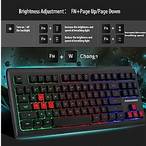Lumsburry Rainbow LED Backlit 87 Keys Gaming Keyboard, Compact Keyboard with 12 Multimedia Shortcut Keys USB Wired Keyboard for PC Gamers Office