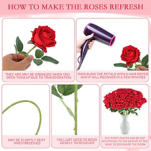 Hananona Artificial Roses Flowers for Flower Arrangement, 12 Pcs Silk Red Rose Bouquet for Home Decoration, Faux Roses for Valentine's Day Parties and Wedding Decoration (Red, 12)