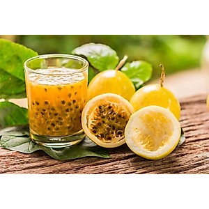 Passion Fruit Yellow Tropical Passionfruit Vine 5 to 7 Inc Tall Planting Indoor Outdoor Ornaments Perennial Garden Simple to Grow Pot