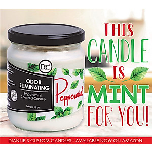 Peppermint Odor Eliminating Highly Fragranced Candle - Eliminates 95% of Pet, Smoke, Food, and Other Smells Quickly - Up to 80 Hour Burn time - 12 Ounce Premium Soy Blend