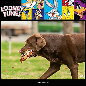 LOONEY TUNES for Pets Brown Tasmanian Devil Taz Ball Body Plush Dog Toy for All Dogs | Squeak Toy for Dogs | Cartoon Character Soft Plush Stuffed Dog Toy