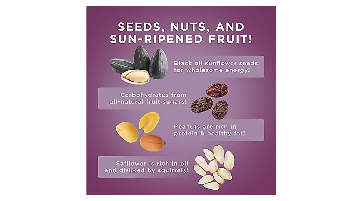 Audubon Park Nut & Fruit Snack Stack Wild Bird Food, Bird Seed Cake for ...