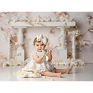 Newborn Baby Girl Lace Tassel Dress Ruffles Sleeve Backless Princess Tutu Dresses Sundress with Bowknot