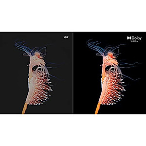 VIZIO 50-Inch M6 Series 4K UHD Quantum Color LED HDR Smart TV M50Q6-J01, 2021 Model (Renewed)