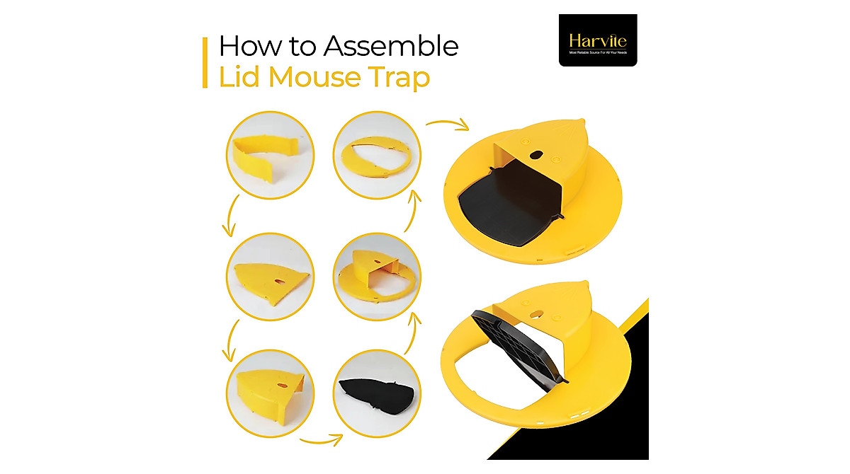 Second Generation, Flip n Slide Bucket Lid Mouse Trap - Indoor Outdoor ...