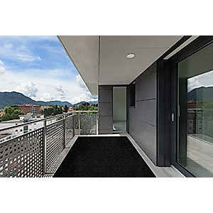 Koeckritz Outdoor Area Rug Carpet, Lightweight for Patios, Gazebos, Sheds, Decks, Garages, Trade Show Booths, Black, 9 x 12