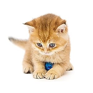 Axe Sickle 20 Pcs 2 Inch Sparkle Ball Cat Toy Interactive Balls Multicolor for Kittens Exercise and Multiple Cats Play and Chase