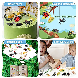 20 PCS Life Cycle Figurines of Butterfly Spider Bee Ladybug Dragonfly, Plastic Insect Bug Figures Toy Kit, Early Education Growth Stage Model Biology Science Toys School Project for Kids Toddlers