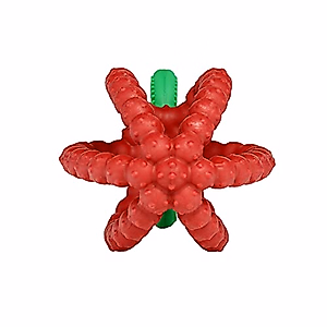RaZbaby Silicone Infant & Baby Teething Toy, Textured BerryBumps Soothe Babies’ Sore Gums, RaZberry Bites Relief Teether, Back & Front Teeth, BPA Free, Easy to Hold, Fruit Shape for Babies 3M+ - Red