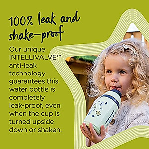 Tommee Tippee Superstar Straw Insulated Sippy Cup for Toddlers, INTELLIVALVE Leak-Proof & Shake-Proof (9 Oz, 12+ Months, 2 Count), Pink and Warm Gray