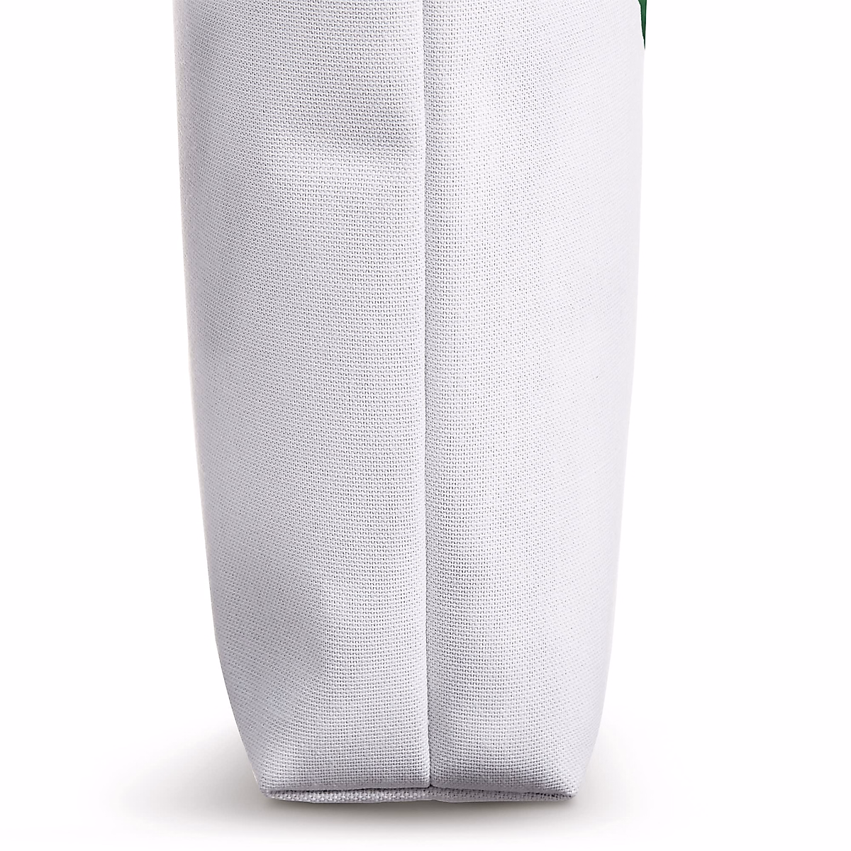 Monstera Plant tote Tote Bag