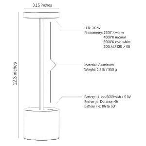 Barryca 12 Inch Cordless Table Lamp Rechargeable, Battery Operated Metal USB Desk Lamp, Portable Led Outdoor Light, Stepless Dimmable, for Outside/Indoor/Restaurant/Home/Dinner/Patio