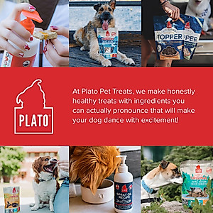 PLATO Pet Treats Fish Oil for Dogs - Omega 3 Oil for Dogs - Supports Healthy Skin and Coat - Baltic Sprat Oil Recipe 16oz