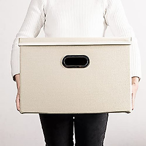 PRANDOM Large Collapsible Storage Bins with Lids [3-Pack] Fabric Foldable Storage Boxes Organizer Containers Baskets Cube with Cover for Home Bedroom Closet Office Faint Yellow(17.3x11.8x11.8)