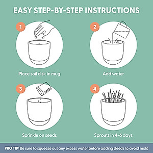 The Cat Ladies Cat Grass for Indoor Cats Kit with Organic Cat Grass Seed Mix, Soil and Ceramic & Cork Planter, Natural Hairball Remedy