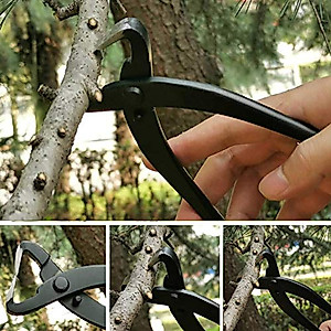 Bonsai Tool Kit, 6 Piece Bonsai Tree Scissors Shear Tool Set with Storage Bag, Garden Plant Hand Tools for Trimming Cutting