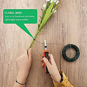 KINGLAKE GARDEN Green Flexible Paddle Wire,0.65 MM 328 Feet Green Florist Wire Floral Wire,Floral Bind Wire Floral Flexible Paddle Wire for DIY Craft, Holiday Decoration