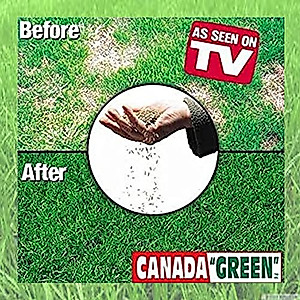 Canada Green Grass Lawn Seed - Grows Healthy Rich Green Grass Lawn Seed Plants Yard Garden 2 Pound Bag