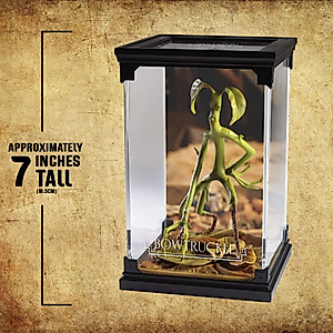 The Noble Collection Fantastic Beasts Magical Creatures: No.2 Bowtruckle