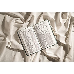 NLT Premium Value Thinline Bible, Filament-Enabled Edition (LeatherLike, Bouquet Teal)