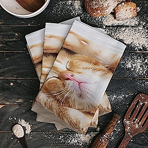 BULING Soft and Super Absorbent Dish Towels Cute Cat Lovely Animal for Pet Lover 2PCS Microfiber Kitchen Towels for Drying Dishes,Multipurpose Dish Cloths - 28 x 18 Inch